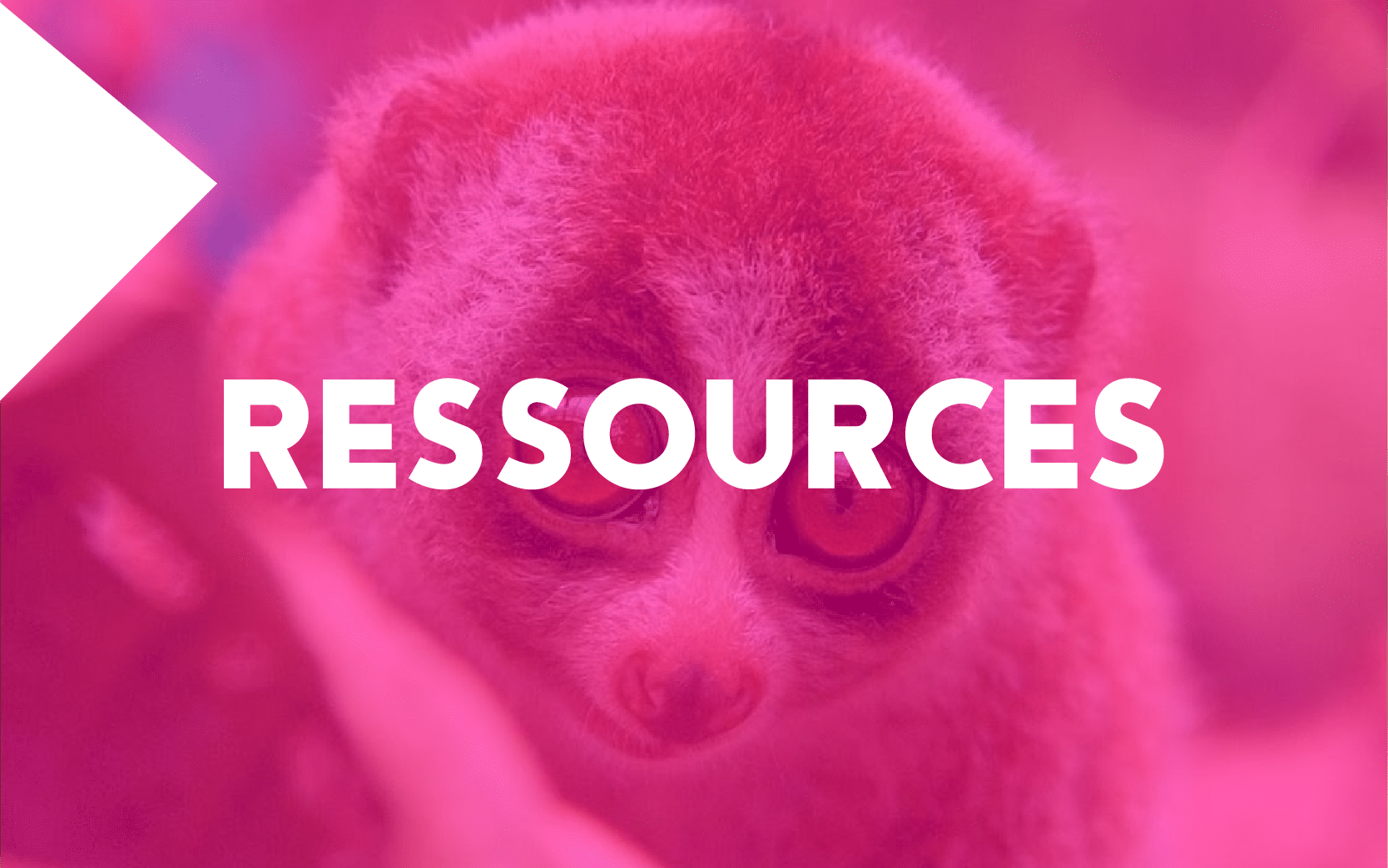 Autres ressources - Le RIM